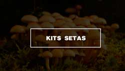 Kits Setas | Monkey Junkie Grow Shop Colombia